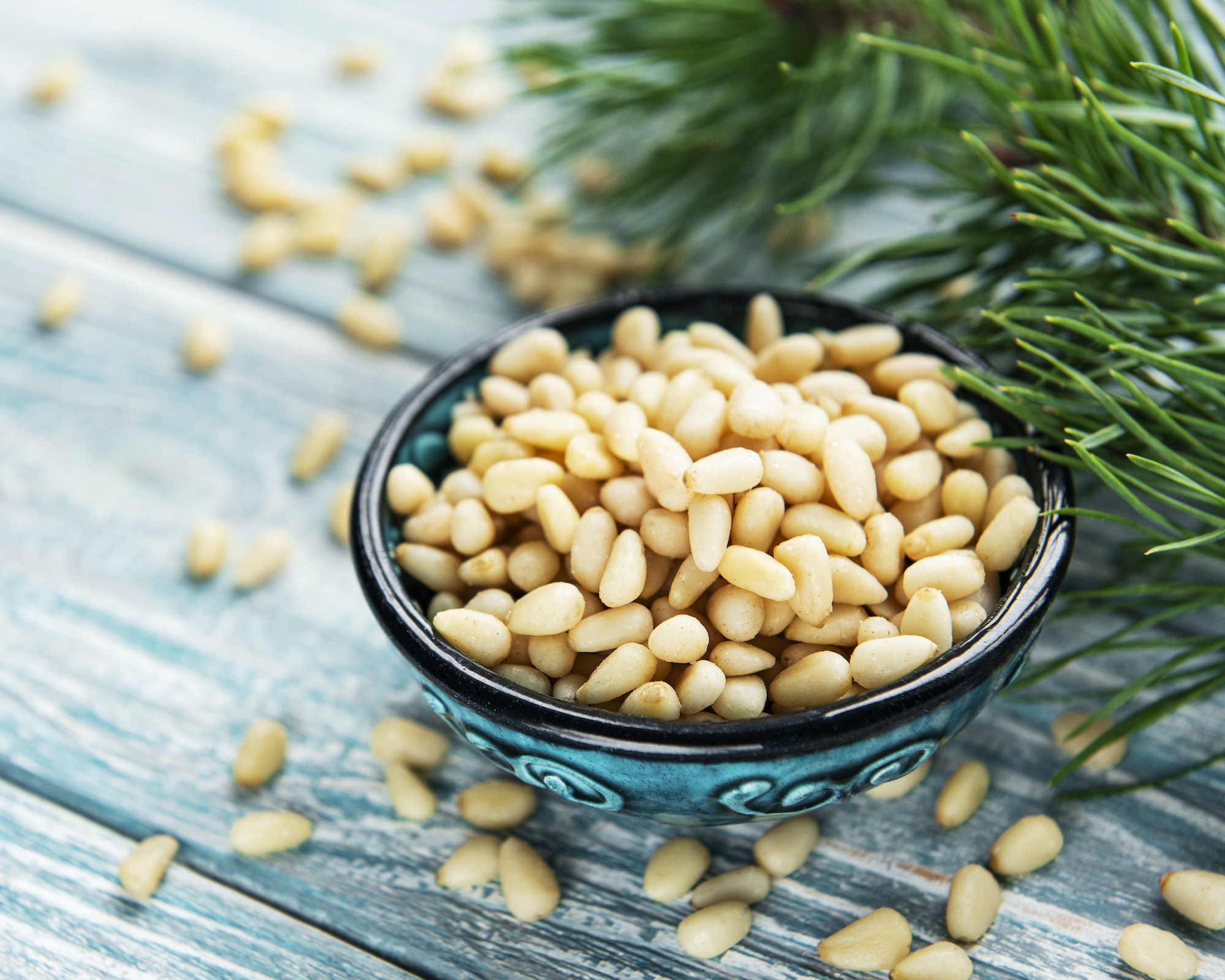 Los piñones: un súper alimento para mejorar la salud - Paradine